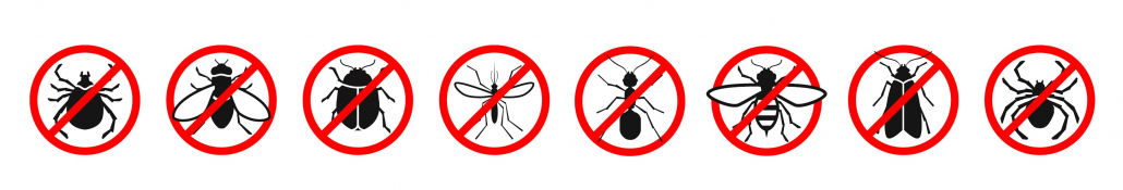 6x Natural Insect Killer 650ml Cans For Maxi Dispensers | Ecomist Australia