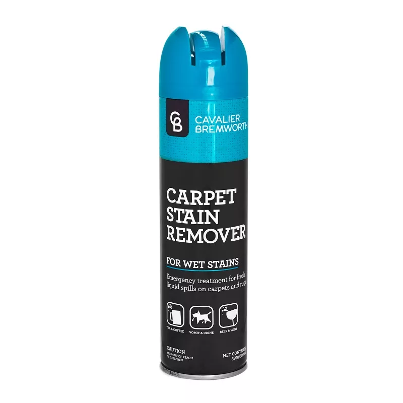 Carpet Cleaner For Wet Stains | Ecomist Australia