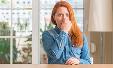 Remove Odours From Your Home Or Business...the Easy Way! | Ecomist ...