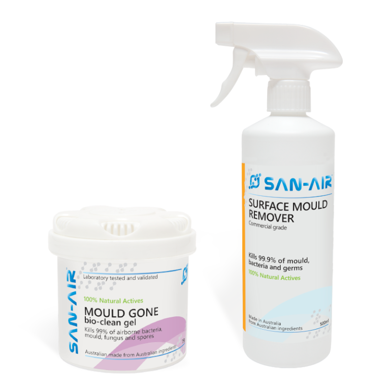 Mould Removal Archives | Ecomist Australia