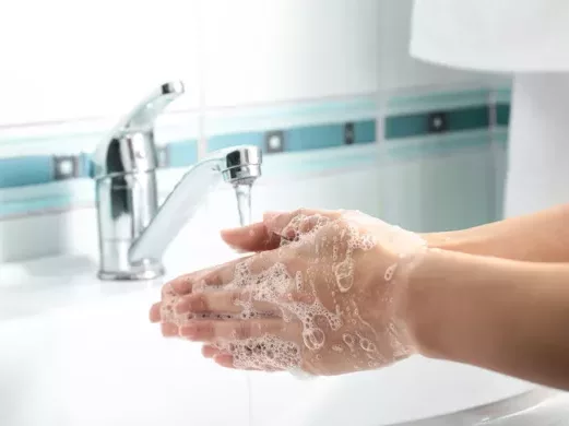 Ecomist | Insect Control, Odour Removal And Fragrancing